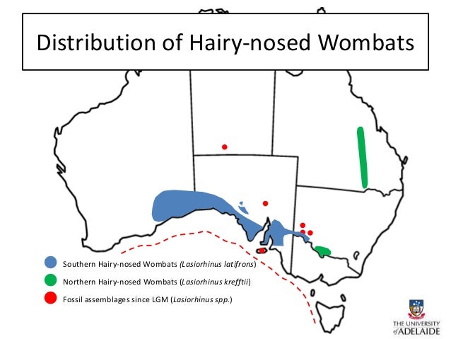 Hairy-nosed Wombats: When, where, why, how many, and what?