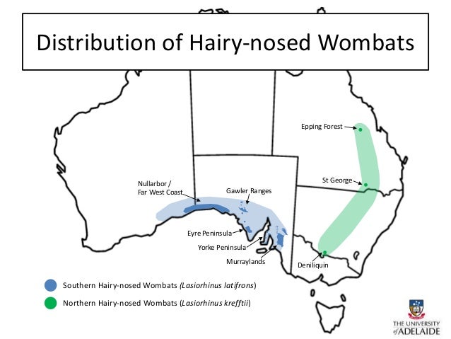 Hairy-nosed Wombats: When, where, why, how many, and what?