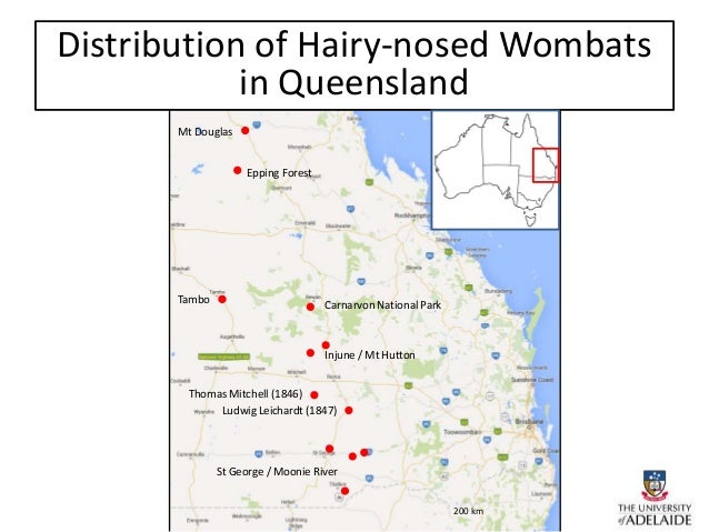 Hairy-nosed Wombats: When, where, why, how many, and what?