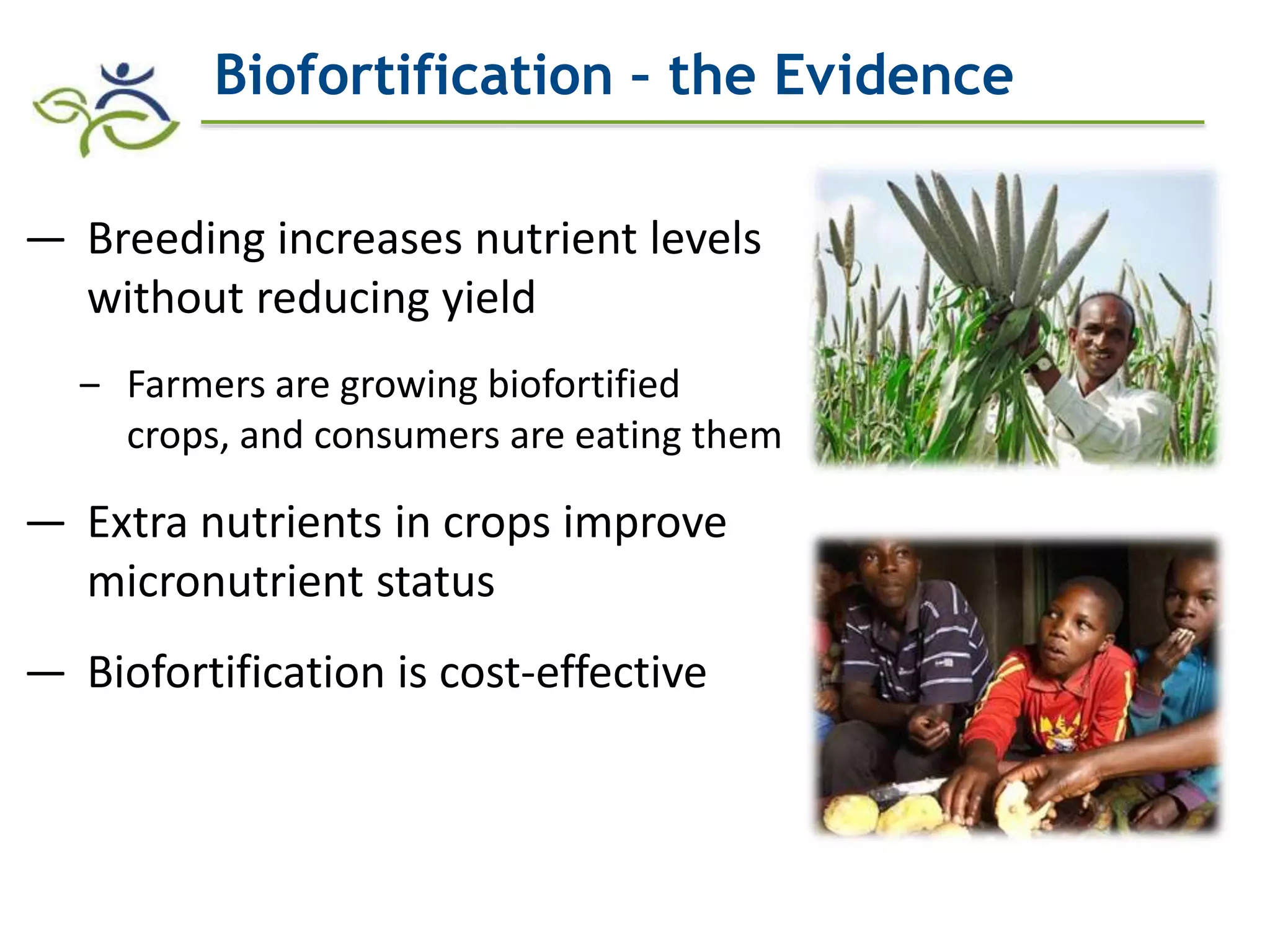Ethiopia’s biofortification potential | PPTX