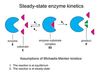 michealis-menten_1.pptx