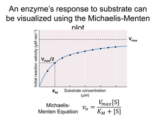 michealis-menten_1.pptx