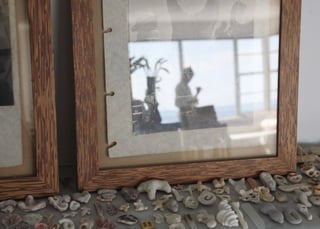 Michele Oka Doner Donfreeman2010 | PDF