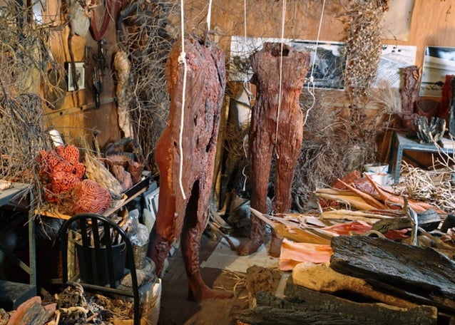 Michele Oka Doner Donfreeman2010 | PDF