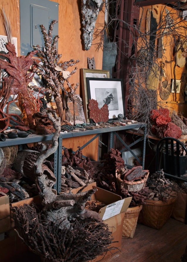 Michele Oka Doner Donfreeman2010 | PDF