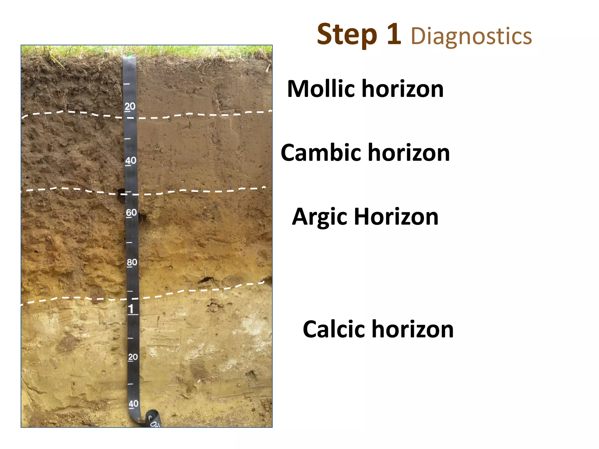 Soil Atlas of Asia: Some backgrounds | PDF