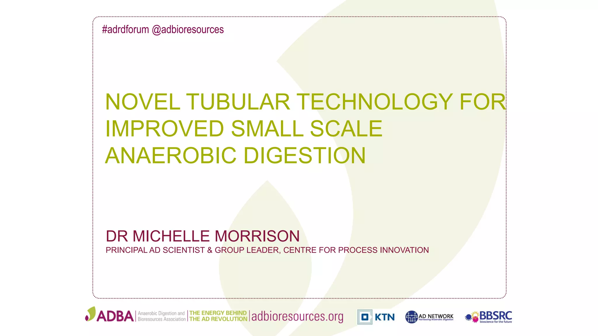 Michelle Morrison | PPT