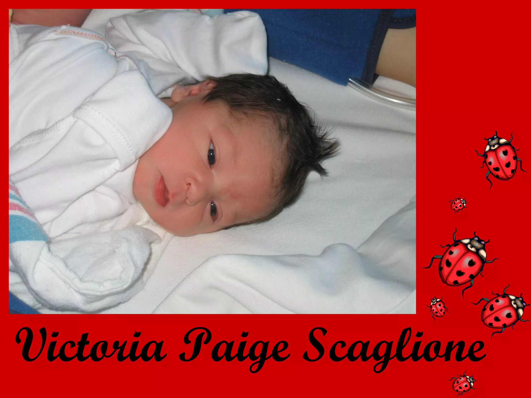 Michelle Scaglione Wedding Slide Show | PPT