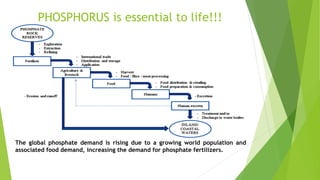 Marco Michelotti and William Grandi - ProPHOS Chemicals - Innovative ...