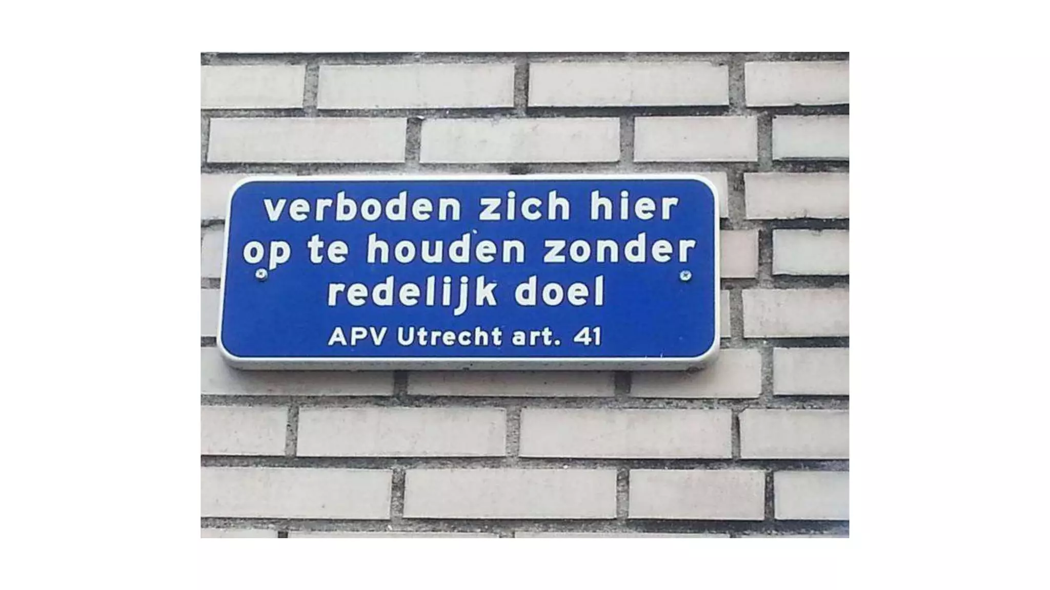 Michiel drijber | PPTX
