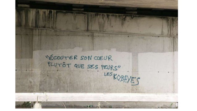 Michiel drijber | PPT