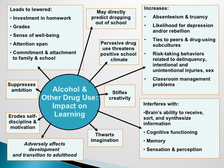 Michigan Model Substance Abuse Conference 9 08