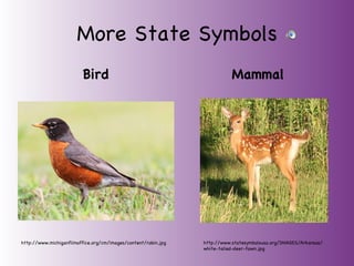 Michigan PPT With Sound | PPT