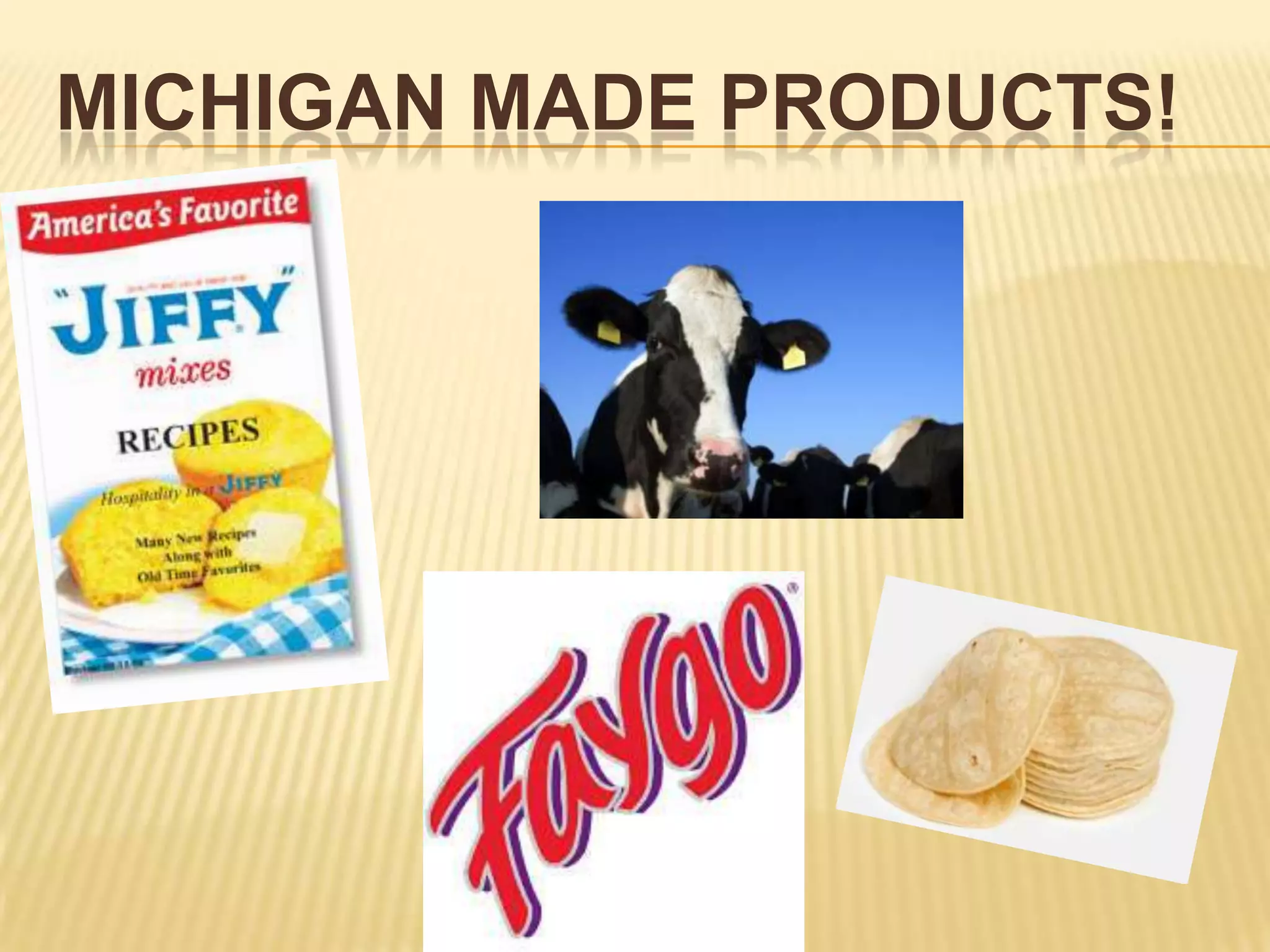 Third Grade Michigan Studies | PPTX