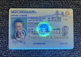 Michigan ID | PDF | Social Networking | Internet