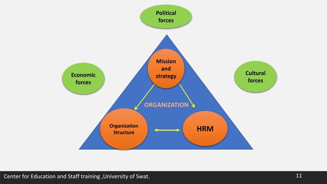 The Michigan model | PPTX