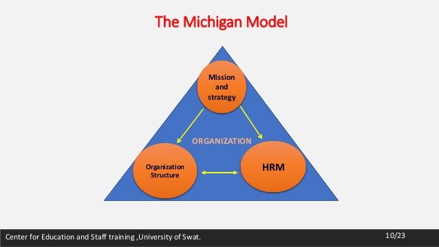 The Michigan model