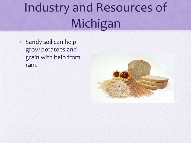 Michigan.pptx