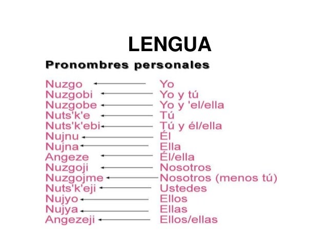 Y Dialectos Indigenas Michoacan