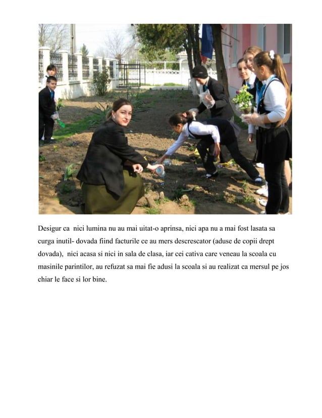 Micii ecologisti | DOCX