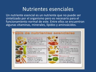 Nutrientes y calorías | PPTX