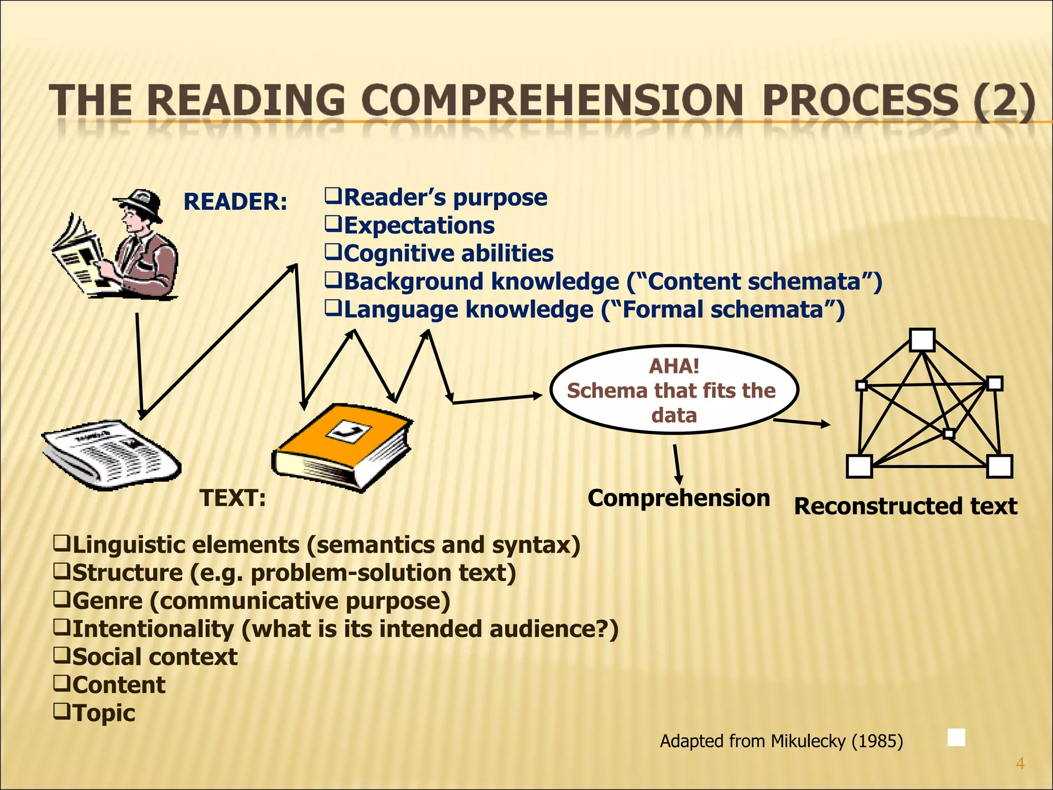 The reading process | PPT
