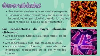Diapositivas de Micobacterias, materia de microbiología | PDF