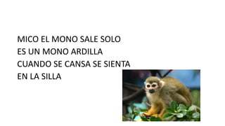 Mico el mono | PPTX