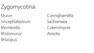 Micologia clasificacion, morfologia y diagnostico | PPTX