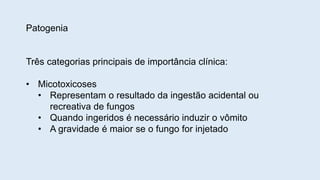 Aula de Microbiologia Clínica Sobre Micologia Microbiologia | PPTX