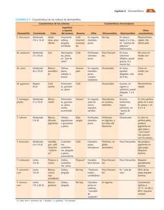 Micologia_Medica_Ilustrada_ARENAS_5e.pdf