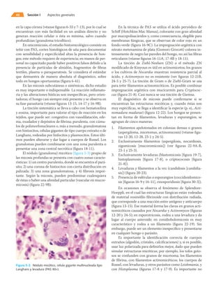 Micologia_Medica_Ilustrada_ARENAS_5e.pdf