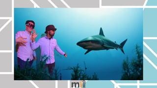 MICon Fishrod Experience | PPT