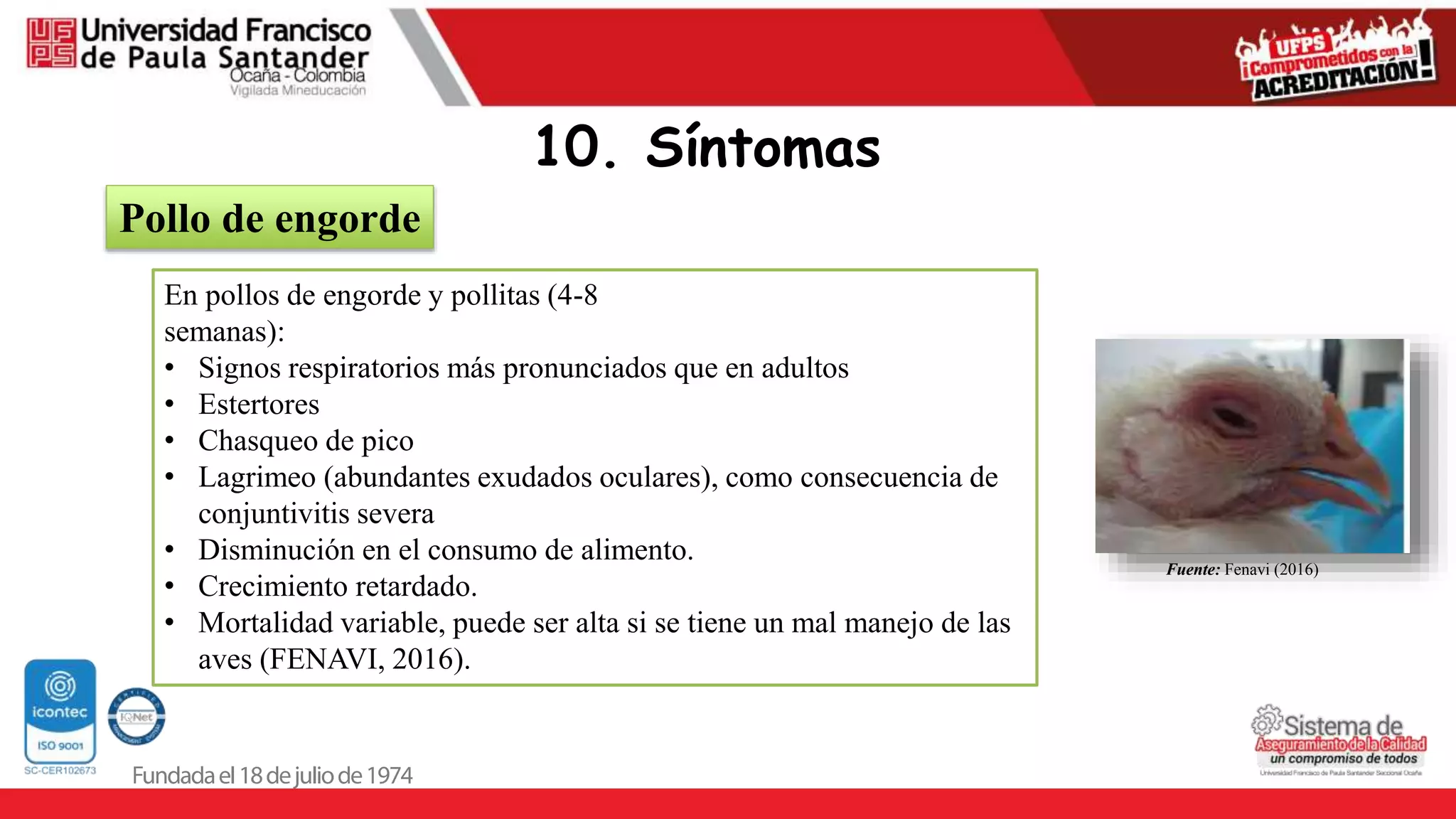MICOPLASMOSIS AVIAR.pptx