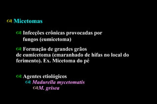 Micoses | PPT
