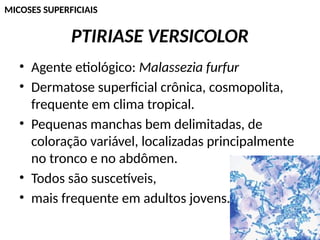 MICOSES humanas mais frequentes diagnostico | PPTX