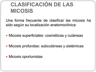Micosis | PPTX