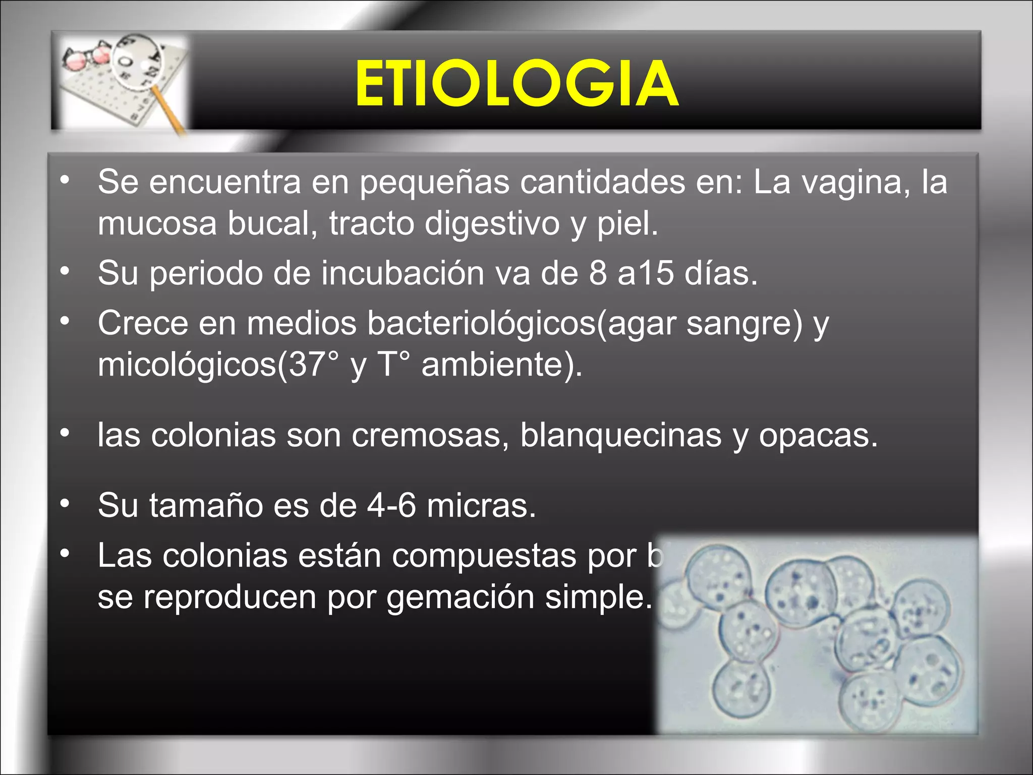 Micosis | PPT