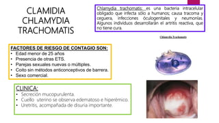 Micosis | PPTX