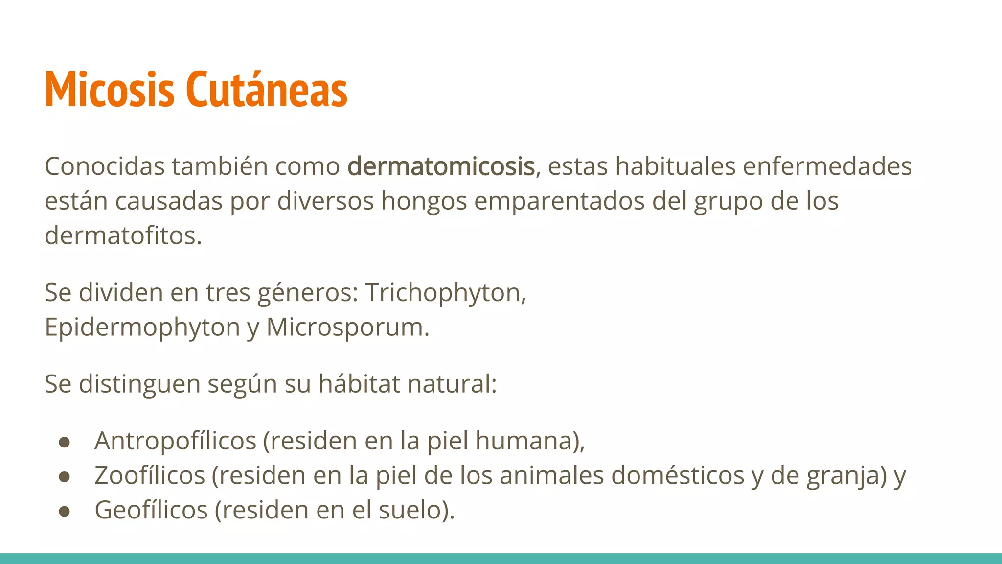 Micosis | PPTX