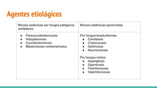 Micosis | PPTX