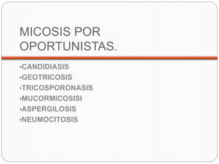 Micosis | PPTX