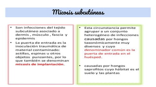 Micosis | PPTX