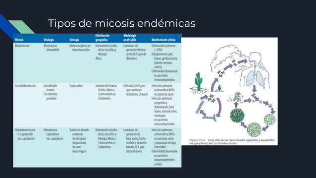Micosis | PPT