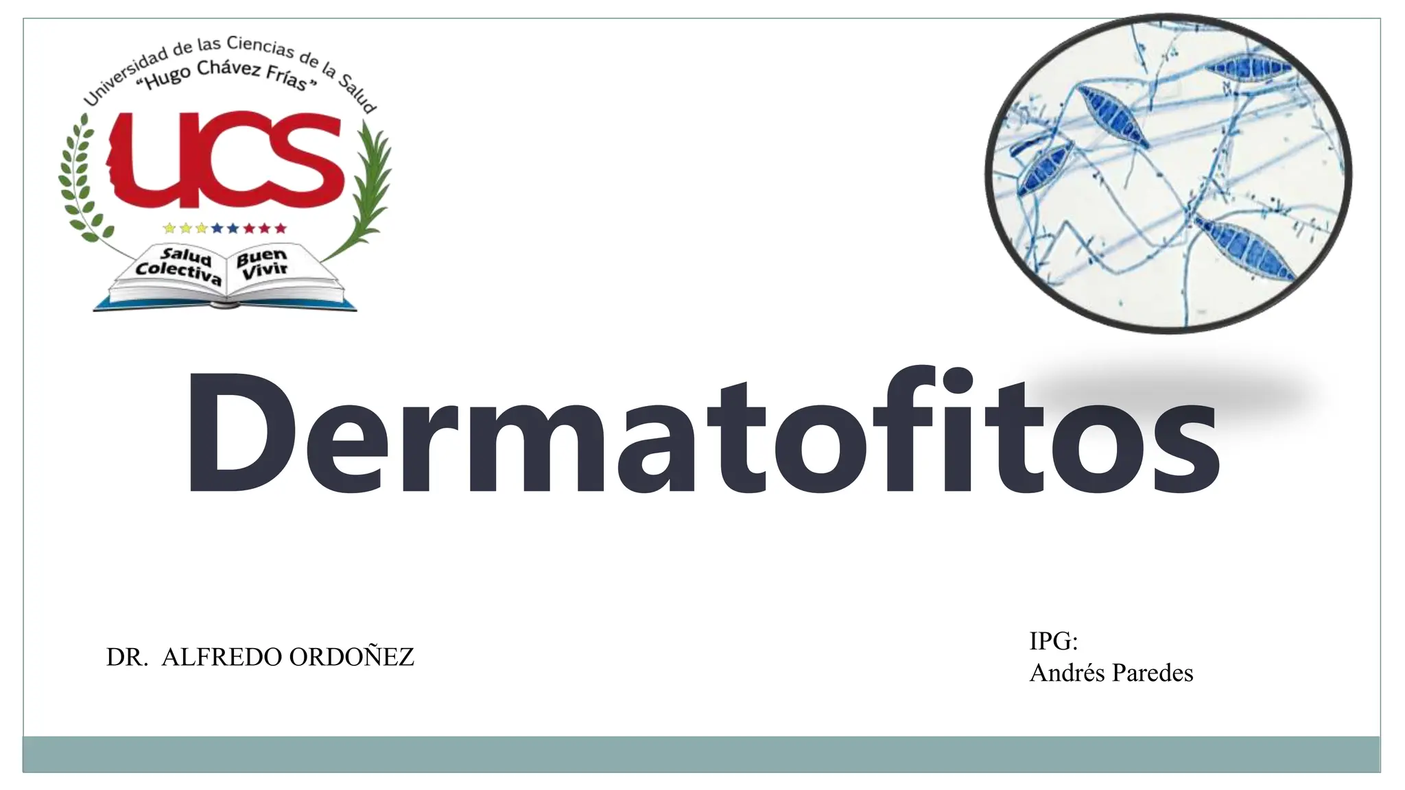 Dermatofitos, cómo enfermedad de etiología fungica en crecimiento. | PPT
