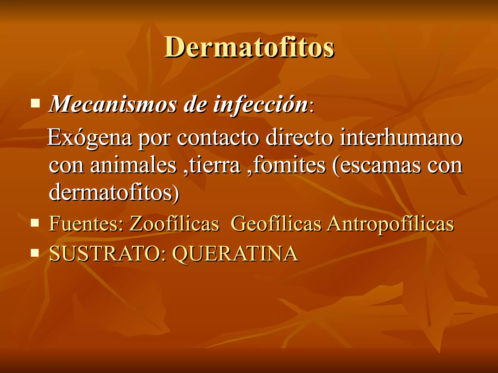 Micosis Superficiales Ppt