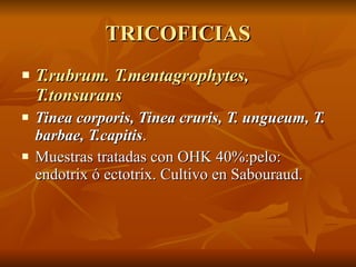 Micosis Superficiales | PPT
