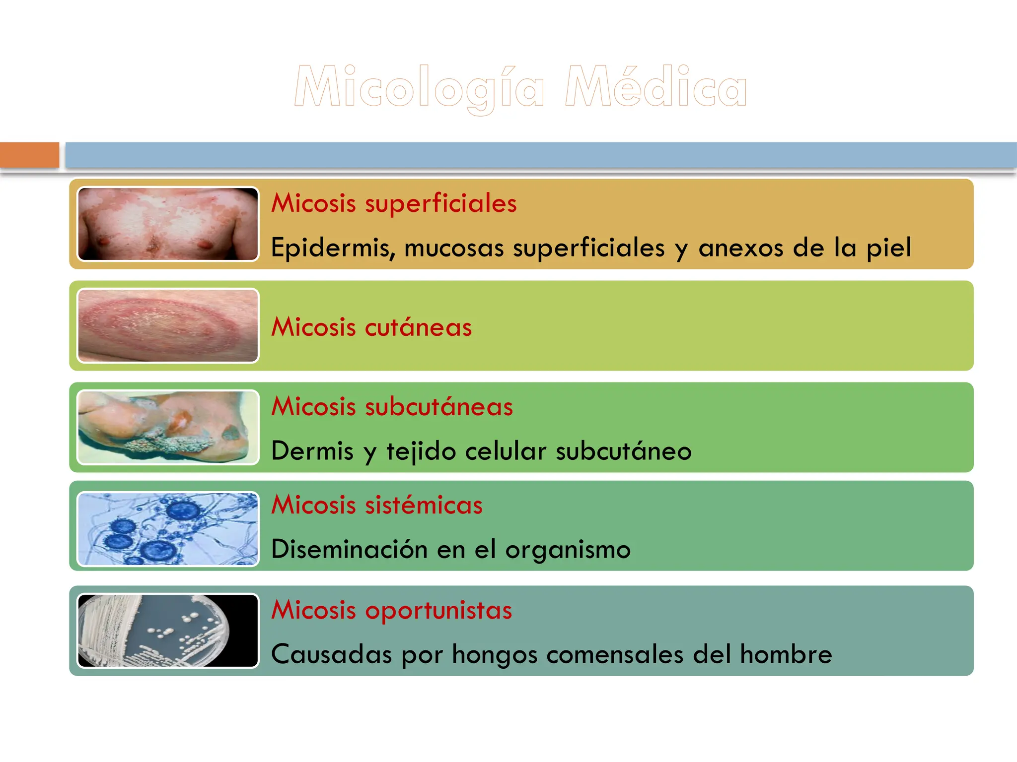 tipos de Micosis y tratamiento farmacológico | PPT
