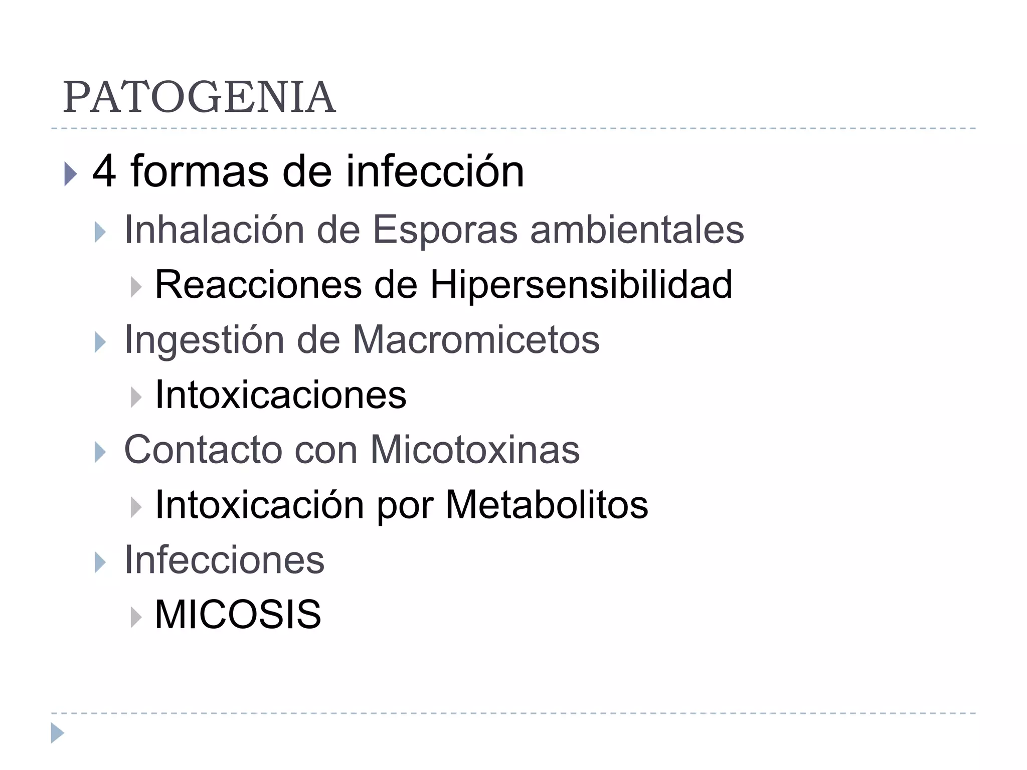 Micosis Humanas | PPTX