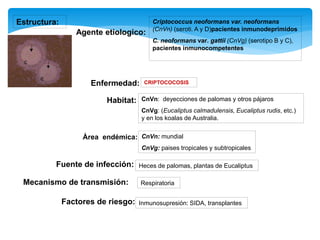 micosis oportunista | PPTX